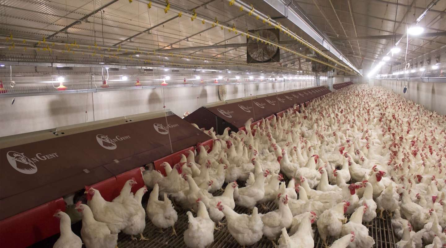 Van Gent - Vencomatic Group